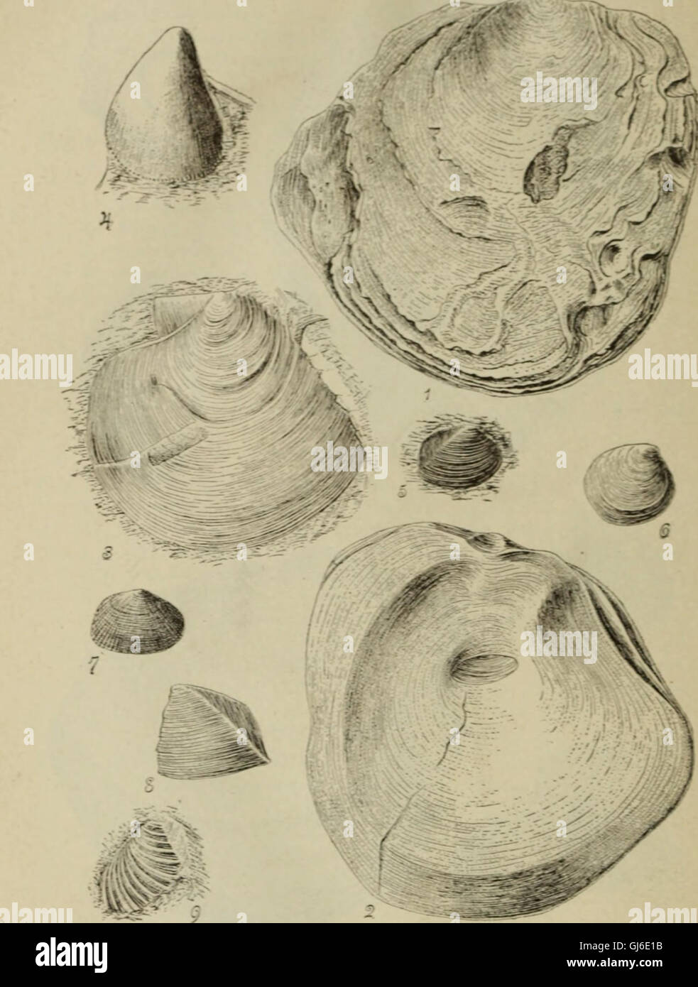 Geology and Agriculture (1892) explores the relationship between soil ...