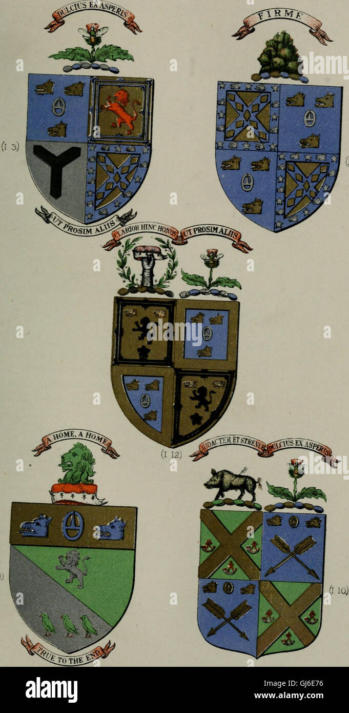 This 1895 work documents the genealogy and history of the Fergusson ...