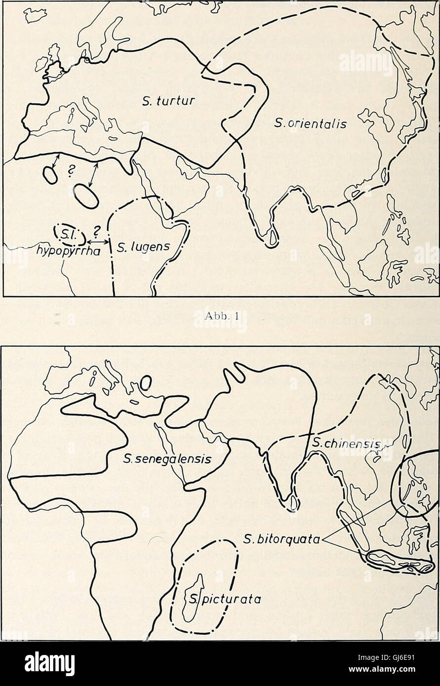 A 1974 publication from the Zoological Research Institute and Museum ...