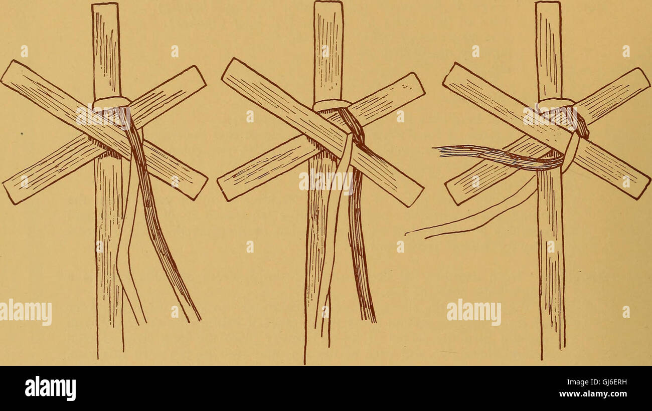 This 1913 guide provides a structured curriculum for teaching cord ...