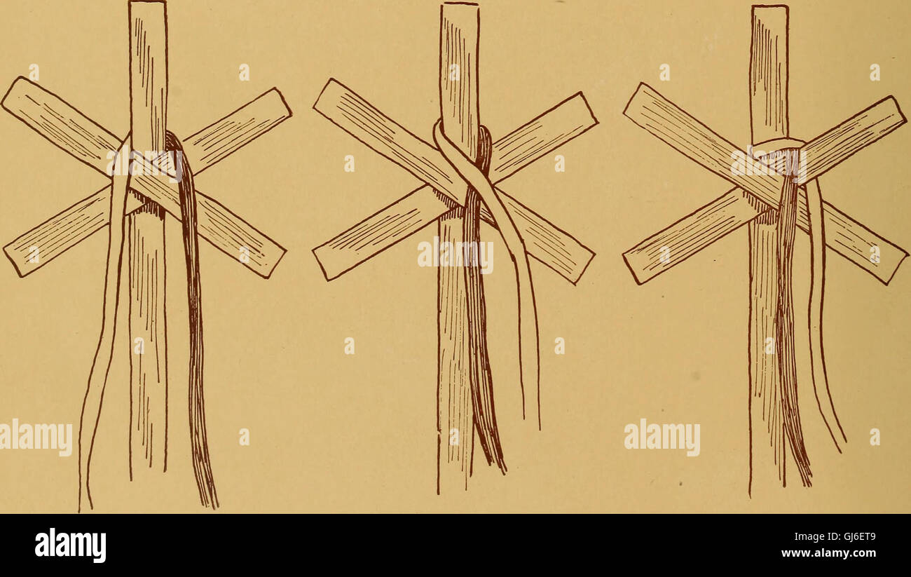 This 1913 course offers a graded approach to teaching cord work, raffia ...