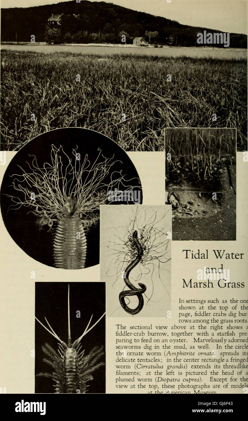 This 1901 guide leaflet provides concise information about a specific ...