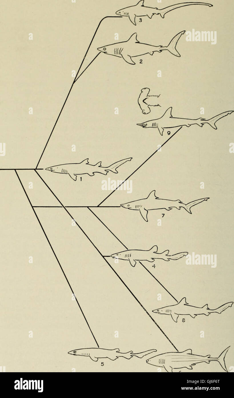 This 1901 guide leaflet offers concise information and directions for a ...
