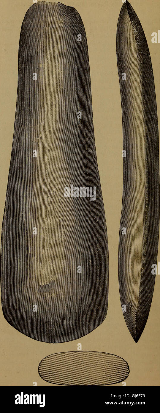 This 1872 work examines the ancient stone tools, weapons, and ornaments ...