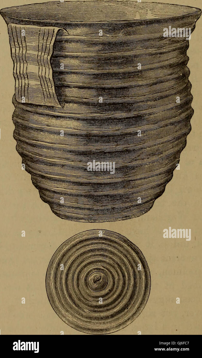 'The Ancient Stone Implements, Weapons, and Ornaments of Great Britain ...