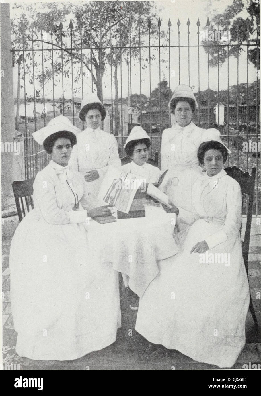 A history of nursing- the evolution of nursing systems from the ...