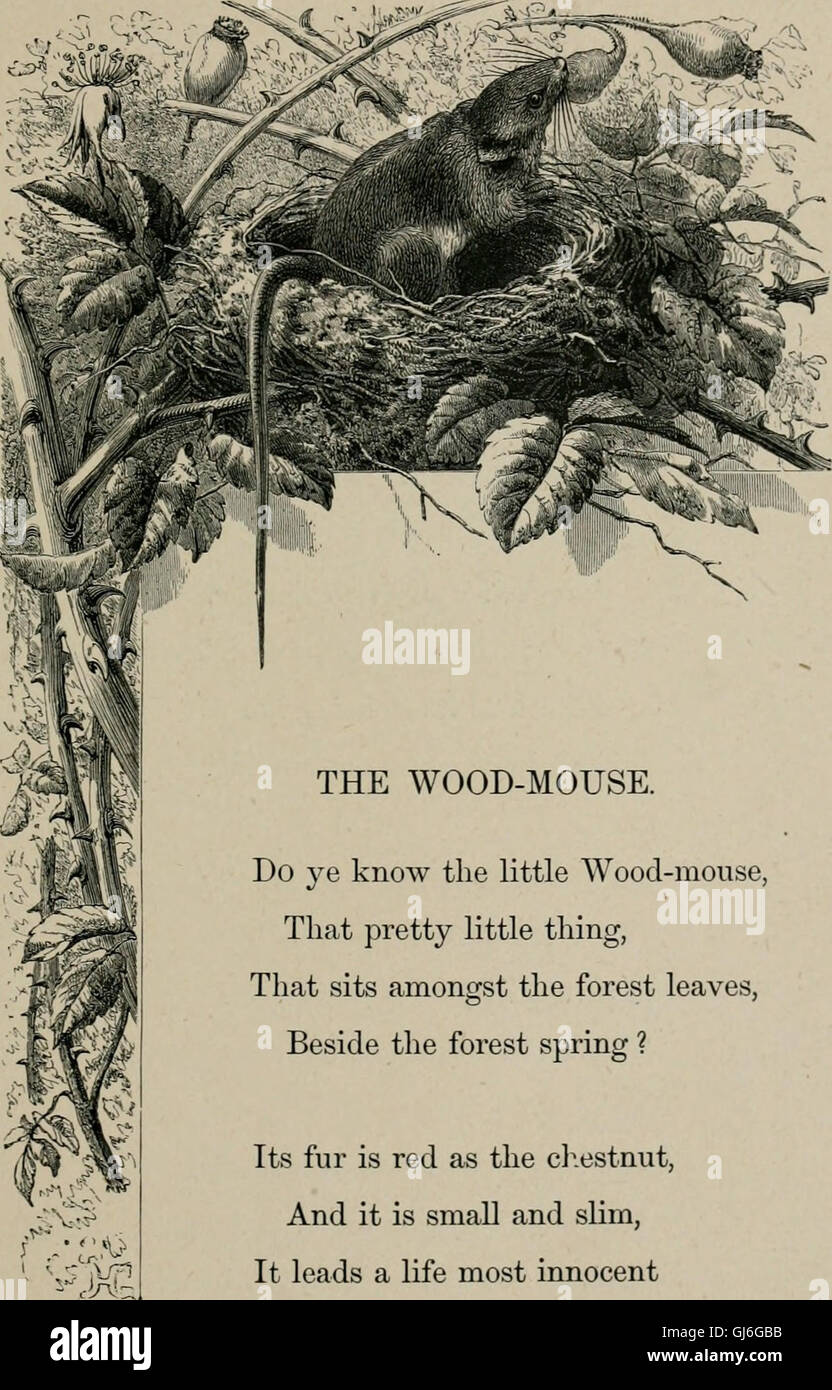 A 1873 collection of poems and illustrations focusing on rural life ...