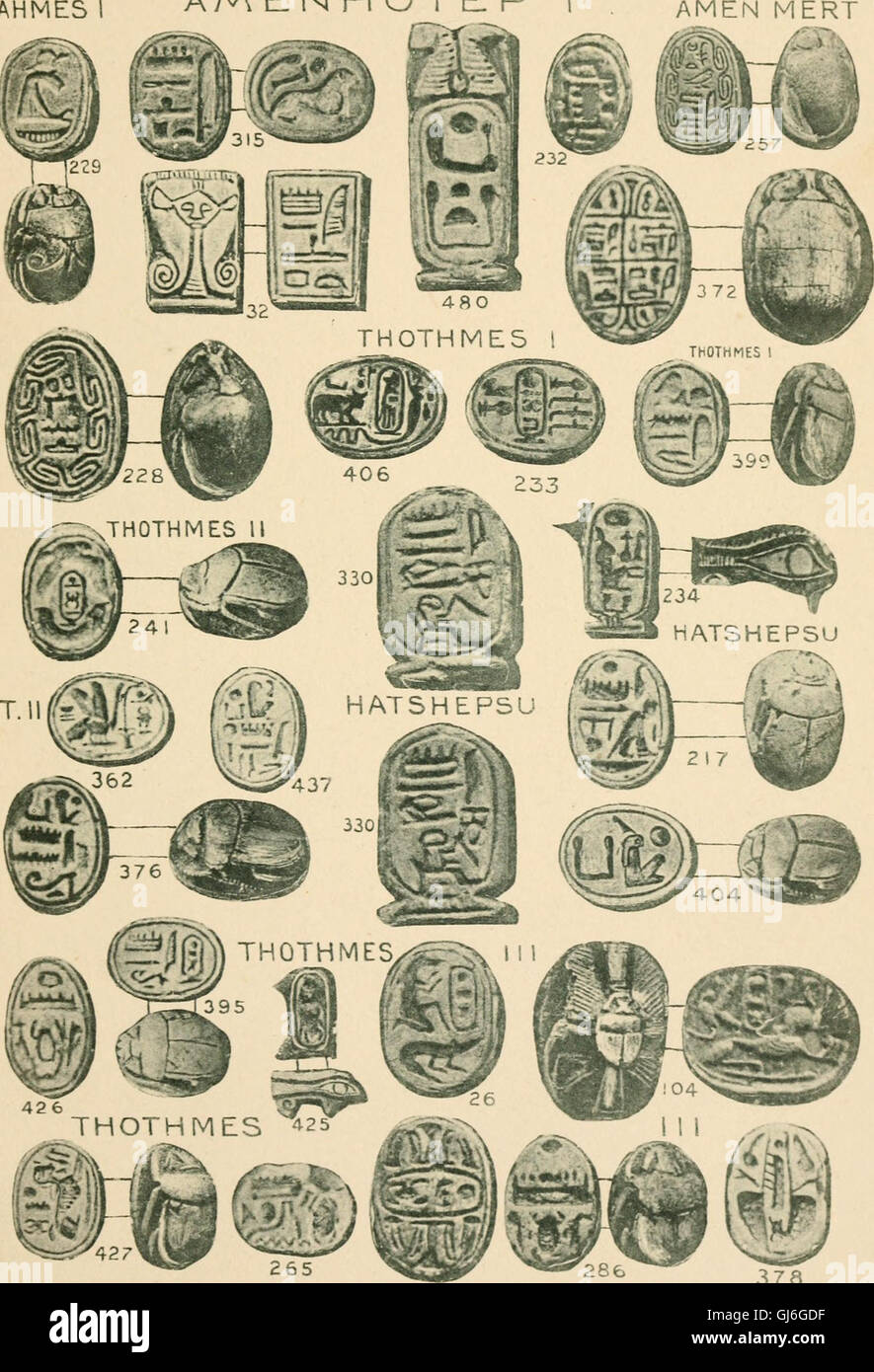 'The Sacred Beetle' (1902) provides an in-depth exploration of the ...