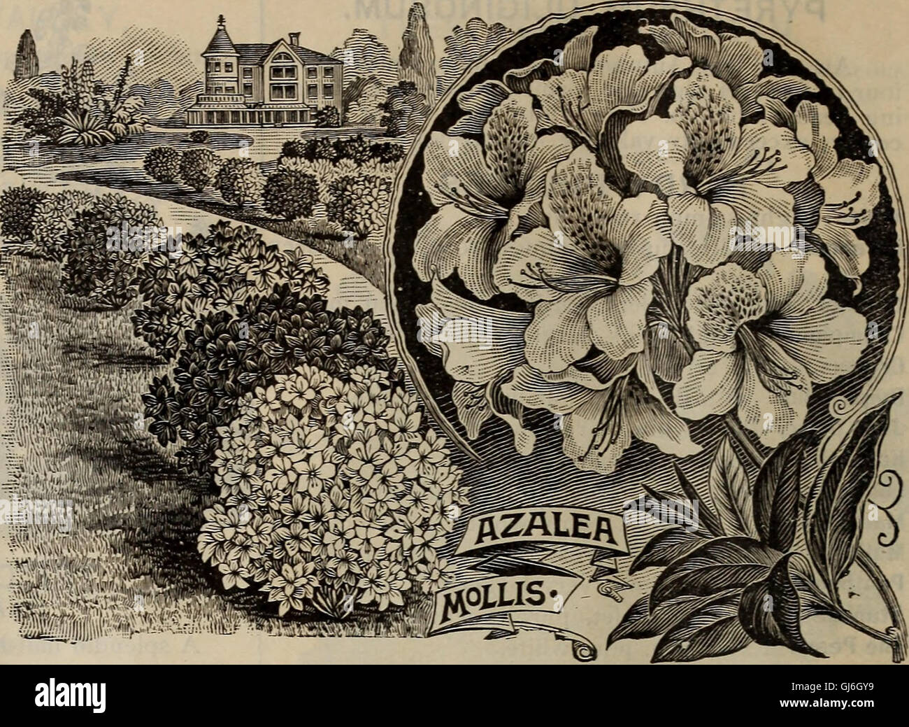 'Spring 1899' (1899) is a publication reflecting on the events, culture ...