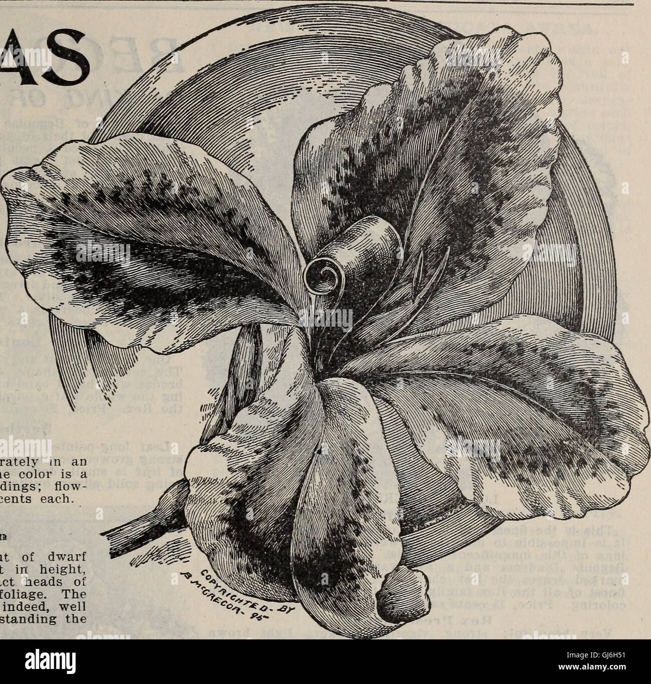 *Floral Gems* (1901) is a collection of illustrations and descriptions ...