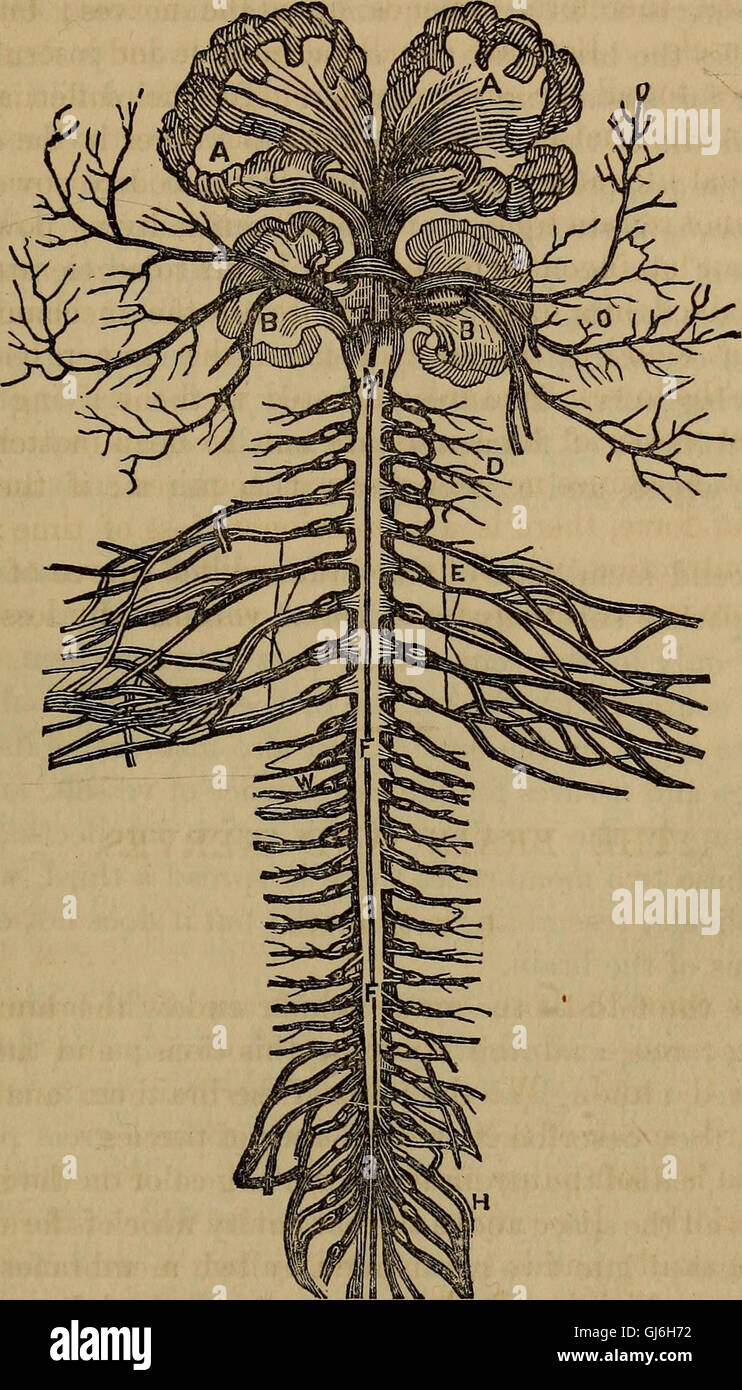 A 1869 guide to health preservation and treatment of diseases ...