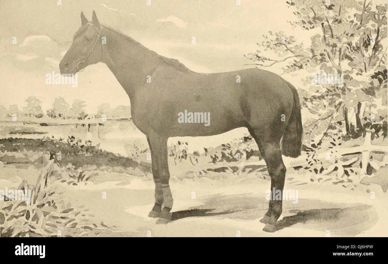 Published in 1898, this work provides a comprehensive history of horse ...