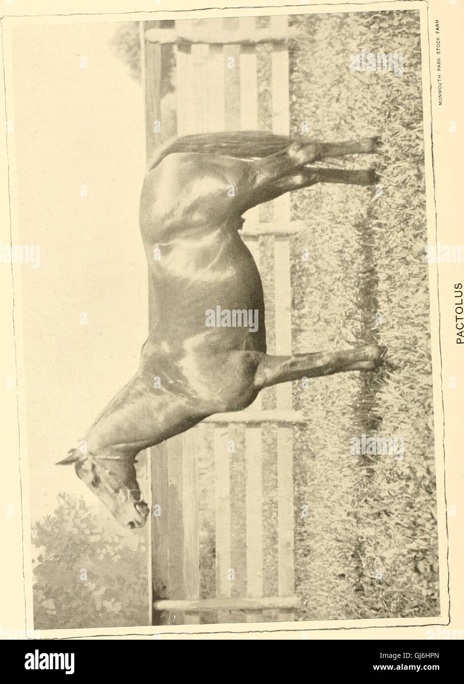 This 1898 publication chronicles the history of horse racing in the ...