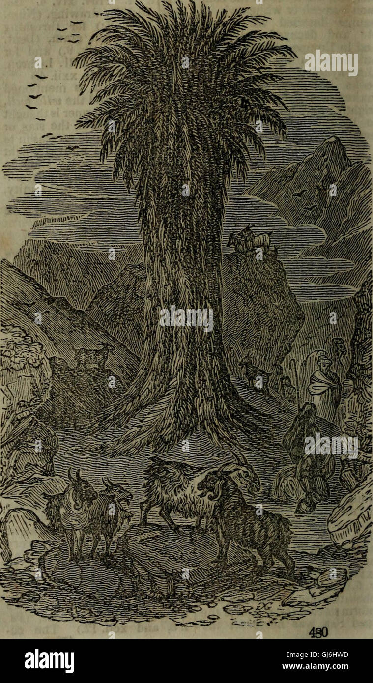 'The Union Bible Dictionary' from 1837 serves as a reference tool for ...