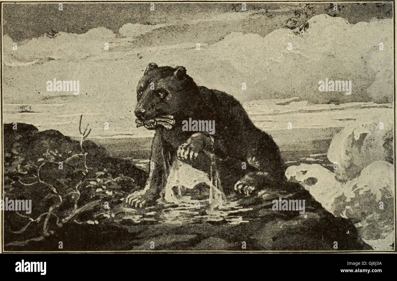 A 1921 book discussing themes of prophecy and divine providence ...