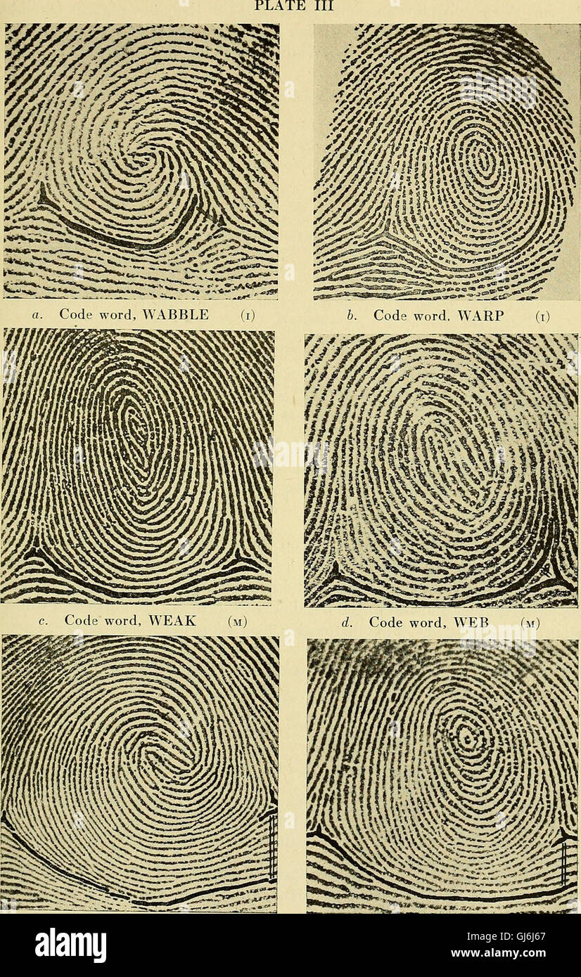 Identification methods hi-res stock photography and images - Alamy