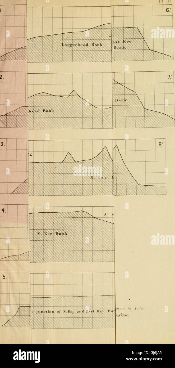 This 1888 publication contains a series of memoirs and essays from the ...