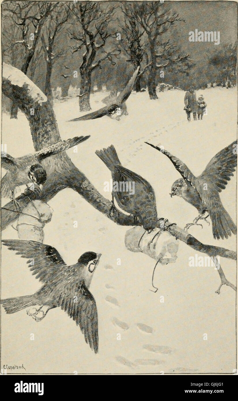 Jim crows hi-res stock photography and images - Alamy