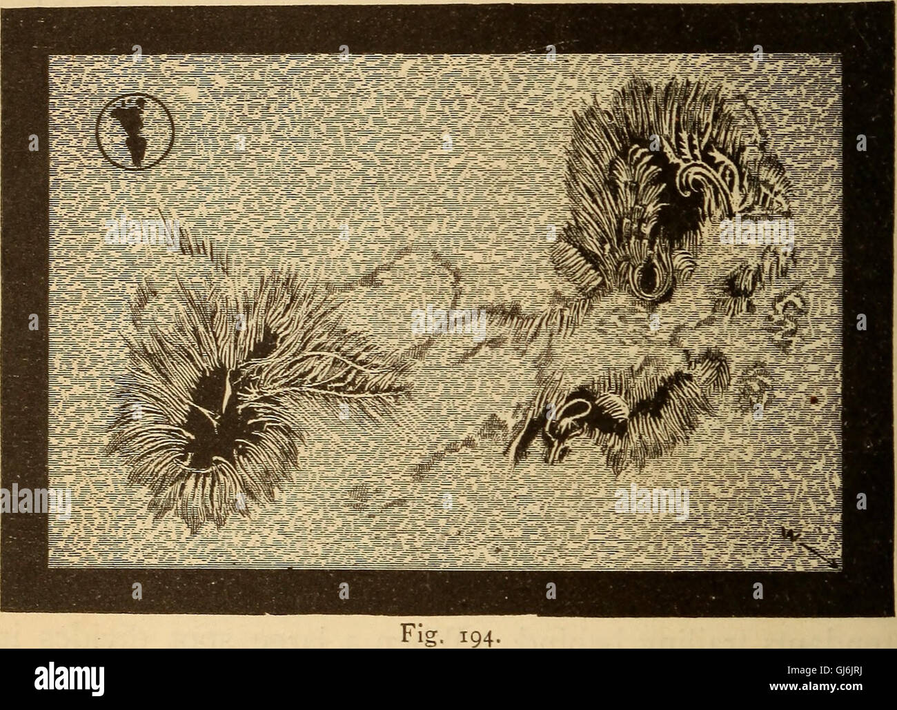 This educational text serves as a guide to astronomy for schools and ...