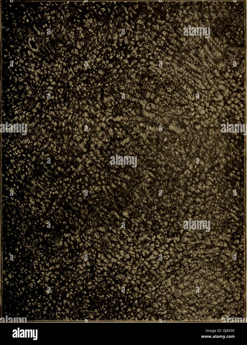 *Astronomy for High Schools and Colleges* (1881) provides a ...