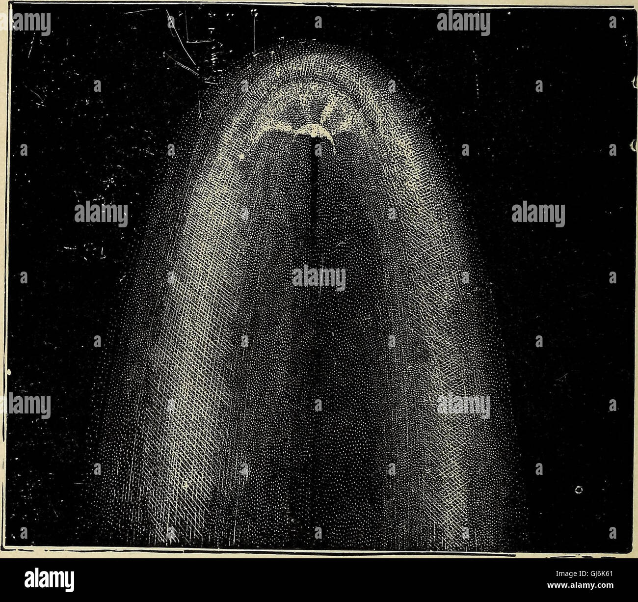 An illustration from 'Elements of Theoretical and Descriptive Astronomy ...