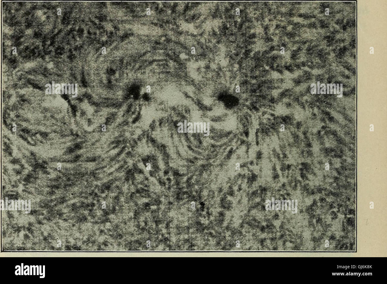 This 1919 textbook introduces the fundamental principles of astronomy ...