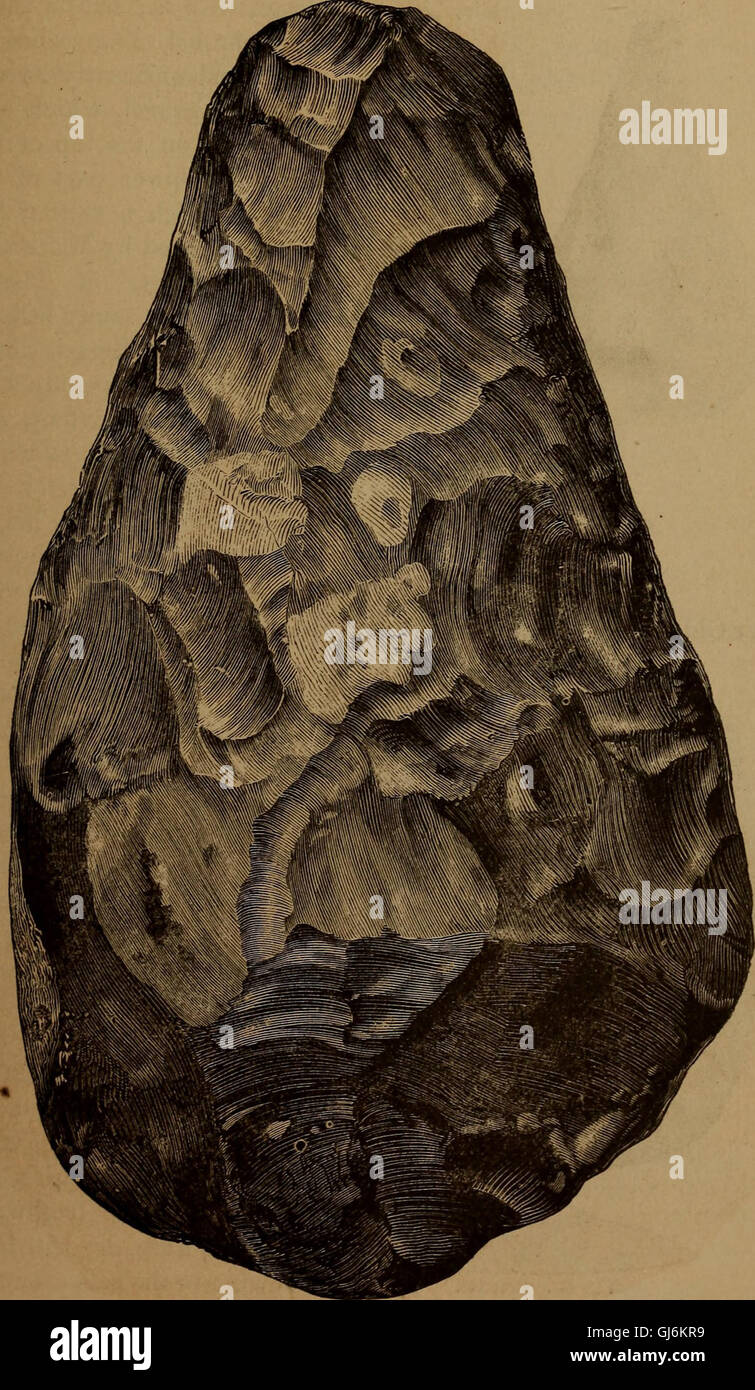 This work, 'The Ancient Stone Implements, Weapons, and Ornaments of ...