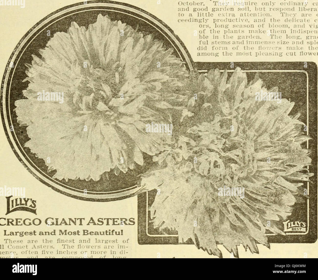 Lilly's 1919 catalog offers a detailed listing of pharmaceutical ...