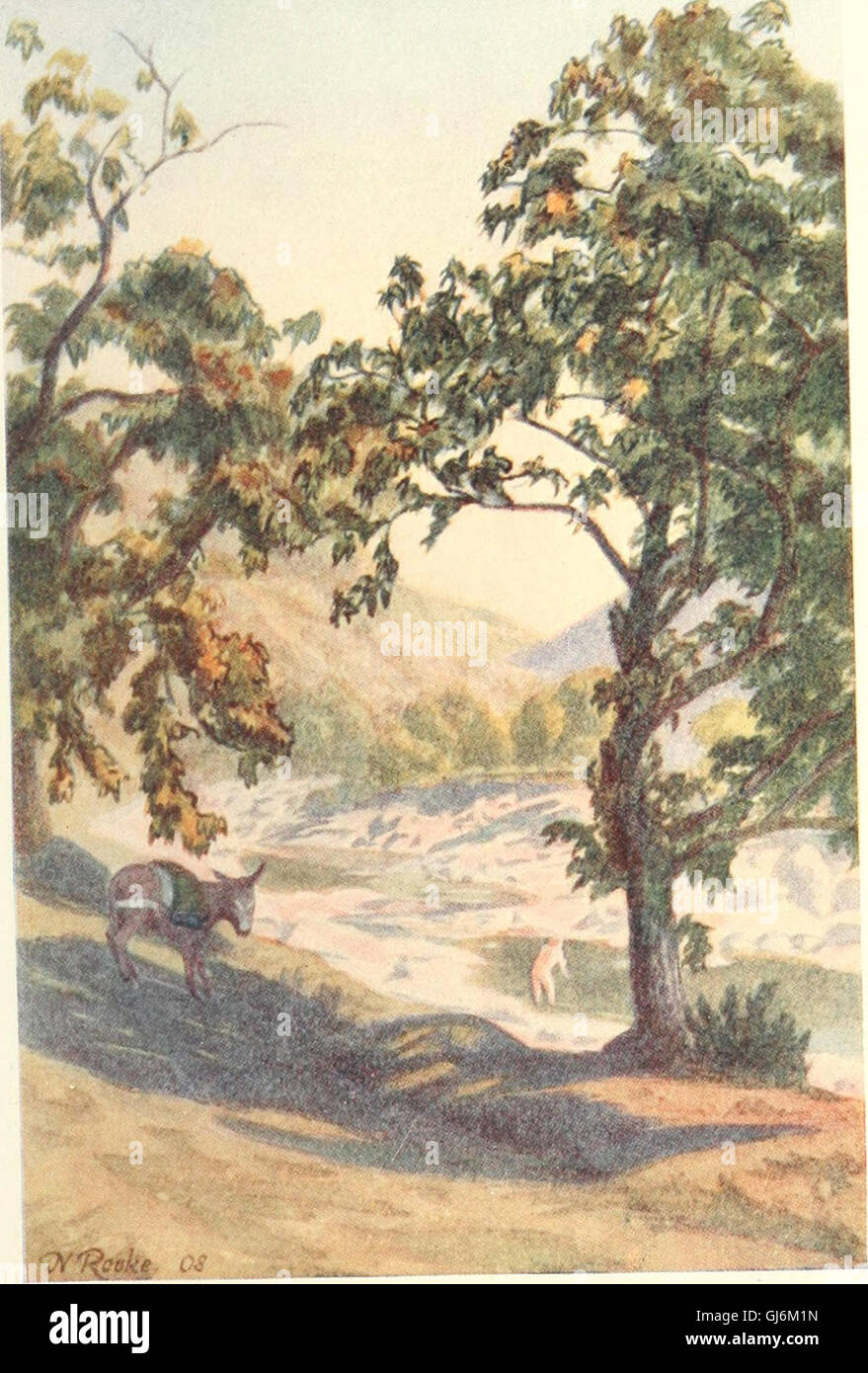 'Travels with a Donkey in the Cévennes' (1909) by Robert Louis ...