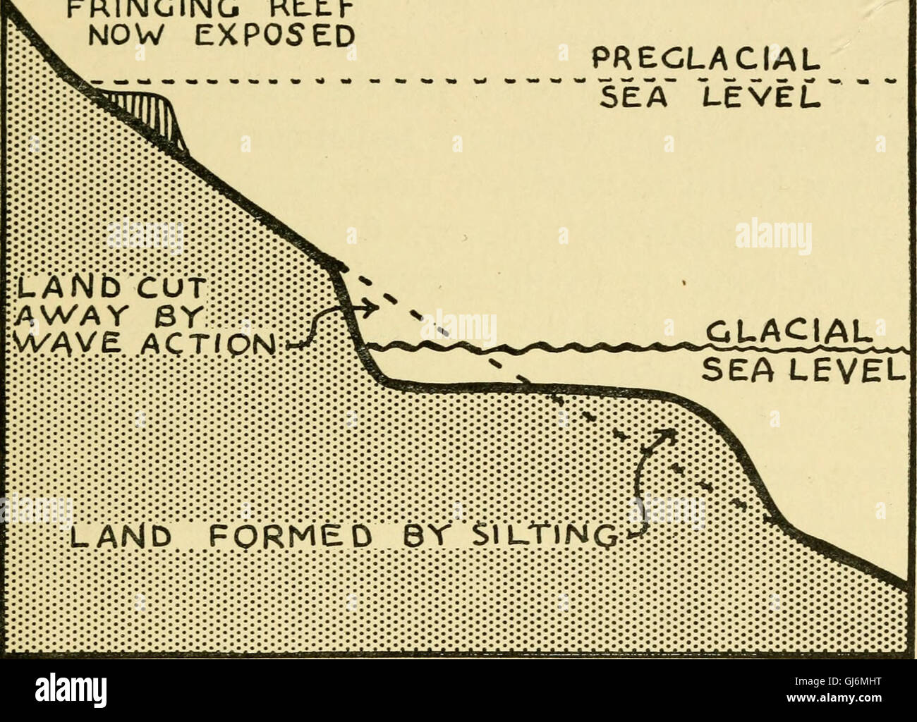 *Atlantic Reef Corals* (1948) is a comprehensive guide to the common ...