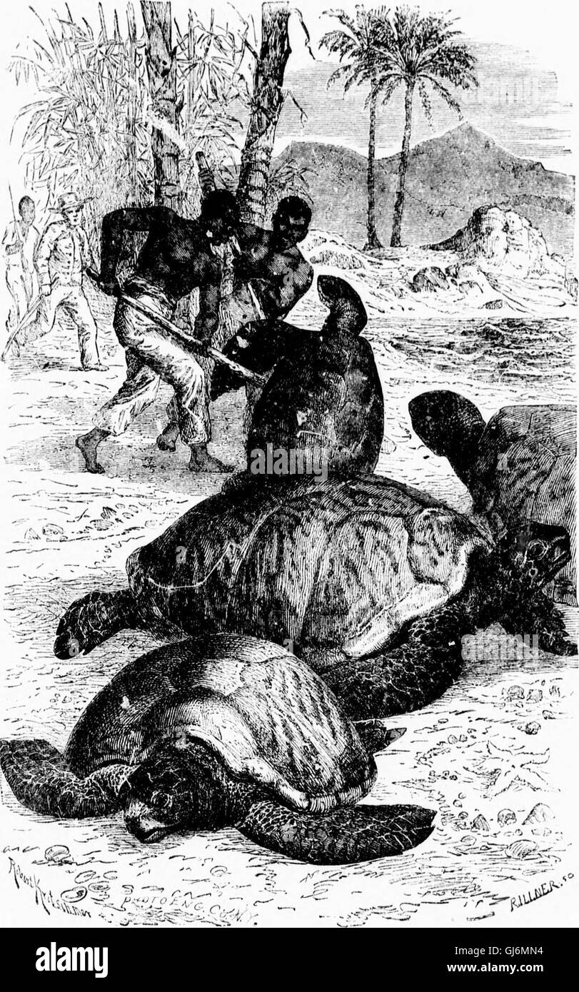 This microform edition describes the marvels of the Earth, sea, and sky ...