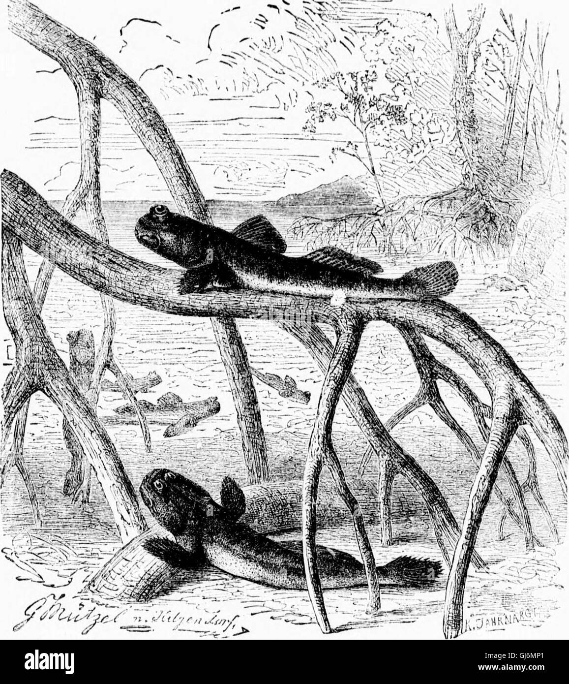 This work provides a full and vivid description of the wonders across ...