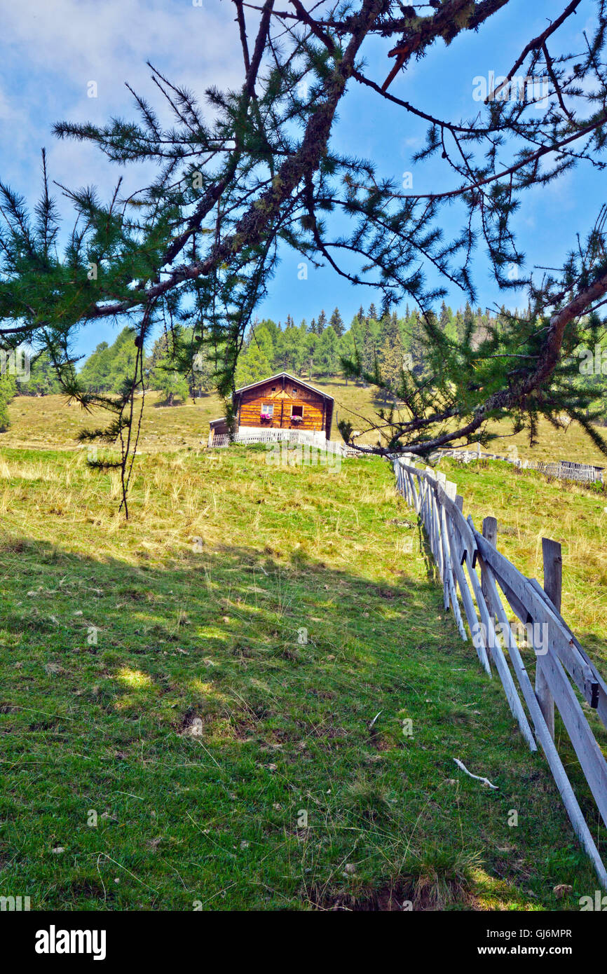Alpine hut on steep alpine meadow Stock Photo - Alamy