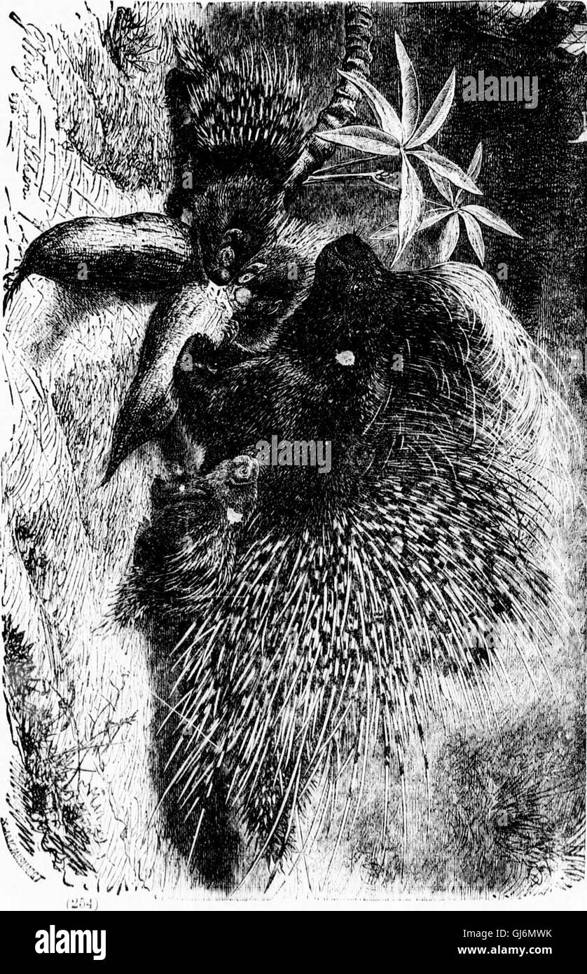 This work offers a detailed description of the wonders across Earth's ...