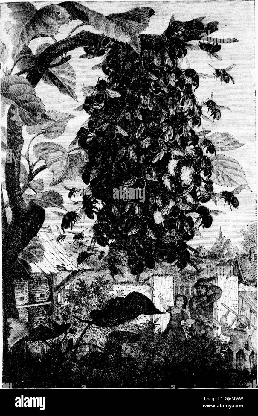 'Earth, Sea and Sky' explores the wonders of the natural world across ...