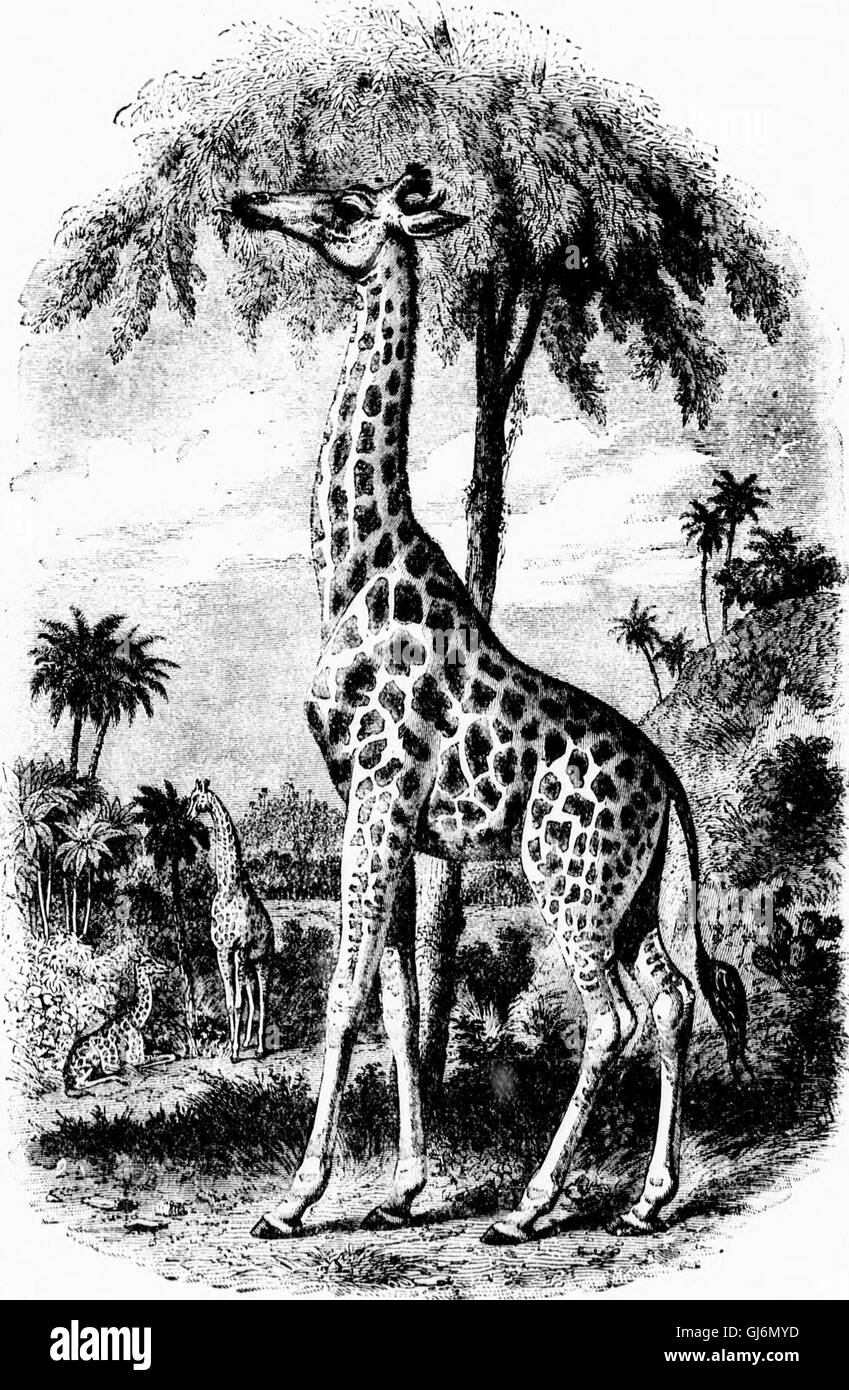This work provides a detailed description of the natural wonders across ...