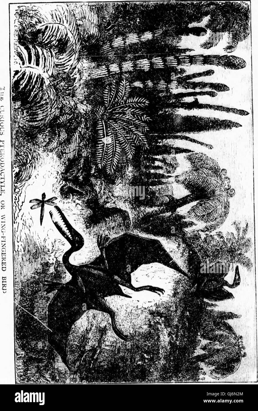 This work provides a detailed description of Earth's wonders across ...