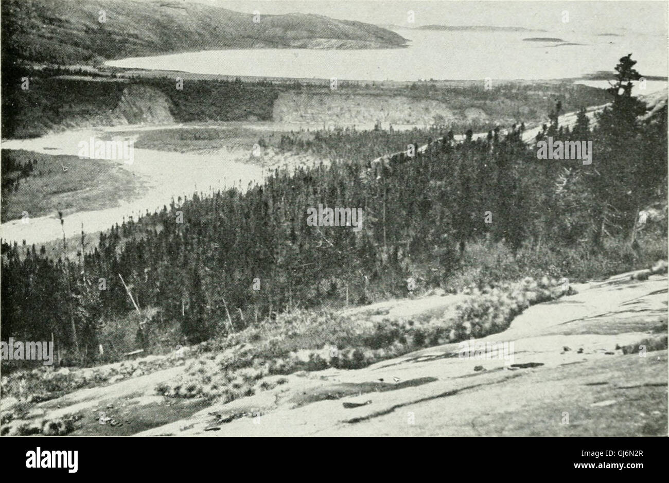 A publication dedicated to the study and practices of forestry in ...