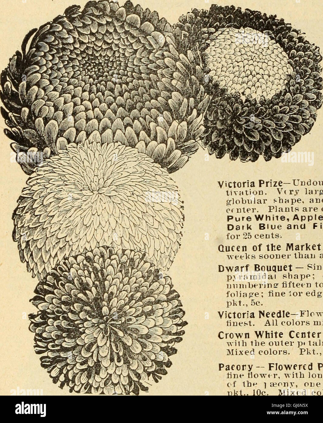 Grow sure hi-res stock photography and images - Alamy