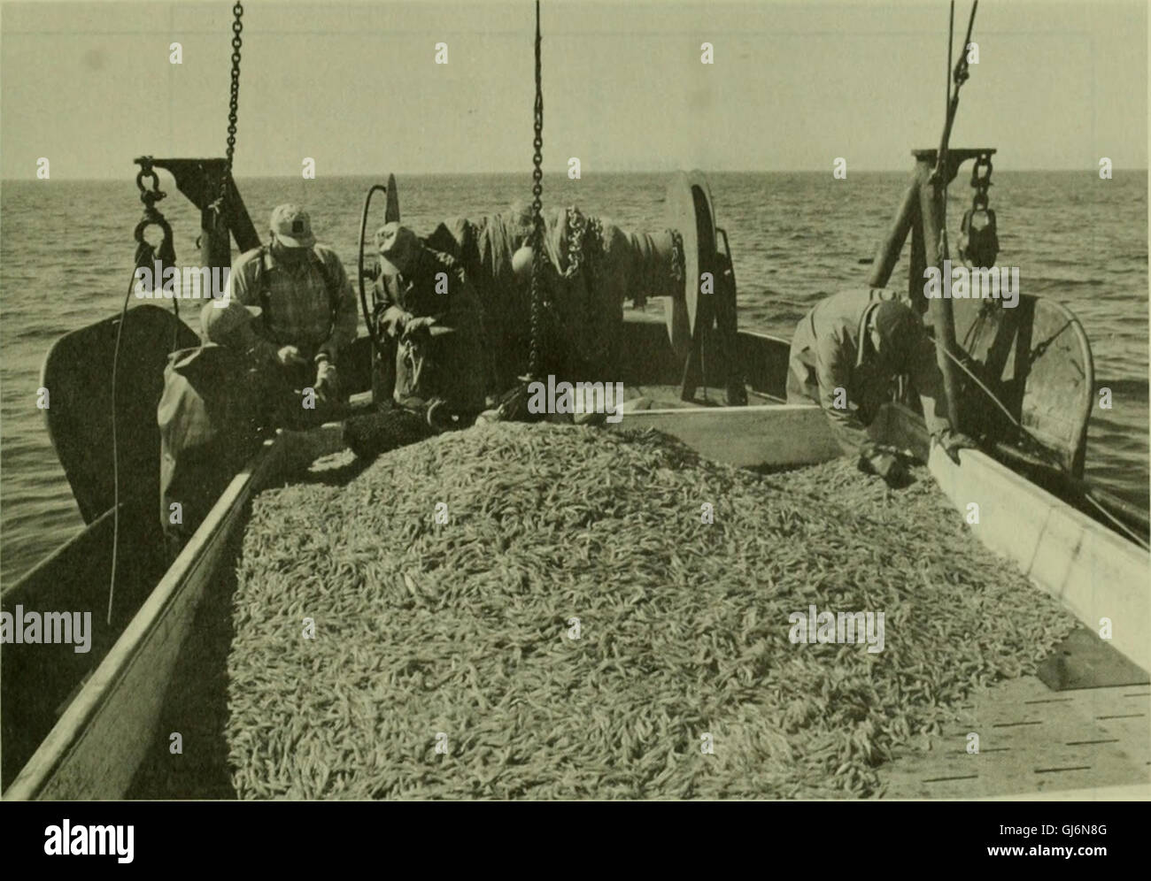 The Commercial Fisheries Review (1969) examines the state of the ...