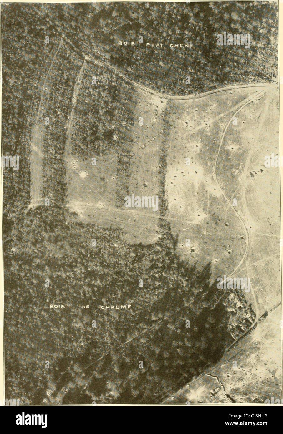 This 1920 illustrated record highlights Illinois' role in World War I ...