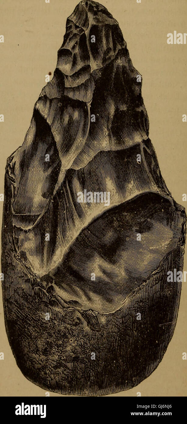 This 1872 work explores the prehistoric tools, weapons, and ornaments ...