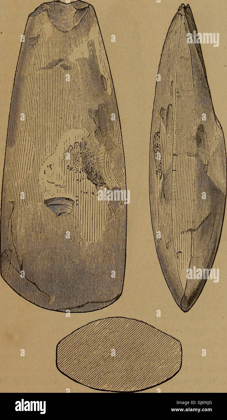 Work examines stone tools hi-res stock photography and images - Alamy