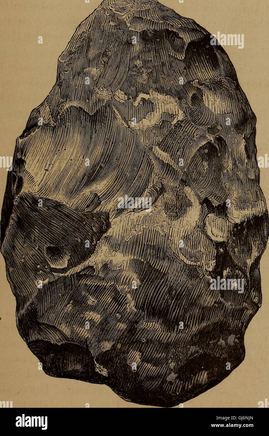This 1872 work details the stone implements, weapons, and ornaments ...