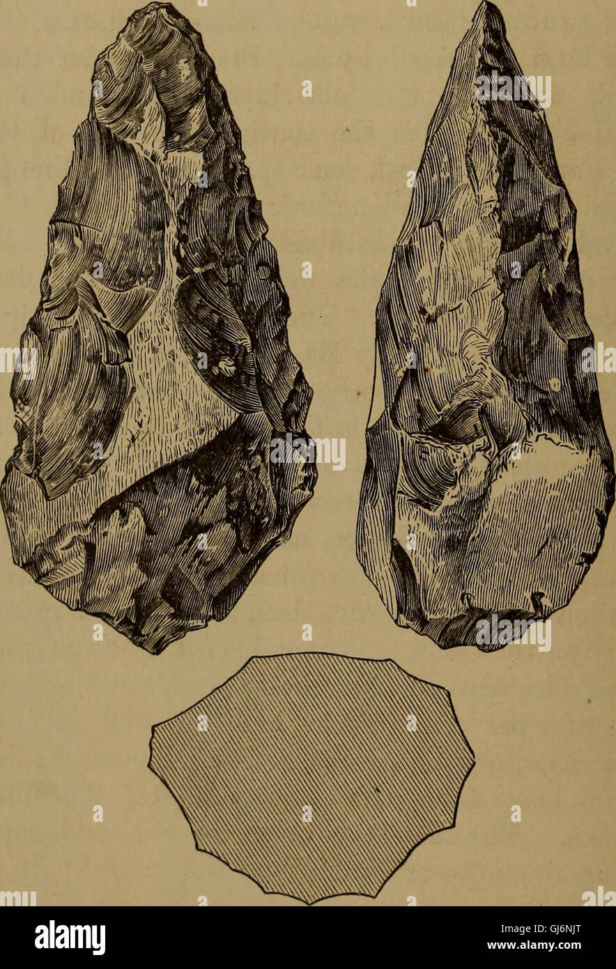 This 1872 work explores the prehistoric tools, weapons, and ornaments ...