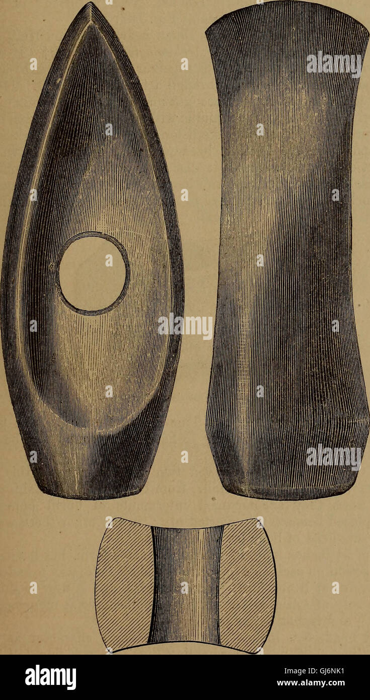 *The Ancient Stone Implements, Weapons, and Ornaments of Great Britain ...