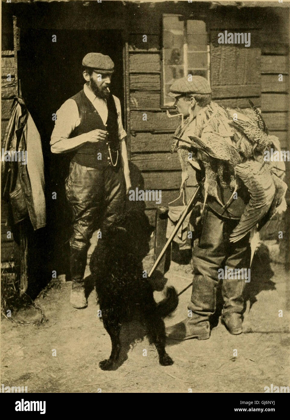 'Complete Wildfowler' (1912) is a guide for hunters, focusing on the ...