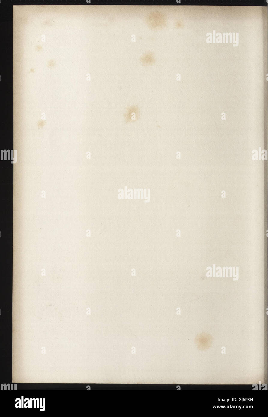 This work explores the representation of monastic orders in art ...