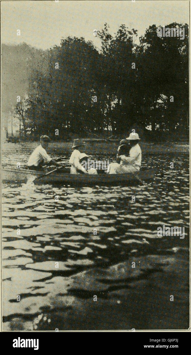 'Ducking Days' (1919) offers a collection of narratives on duck hunting ...
