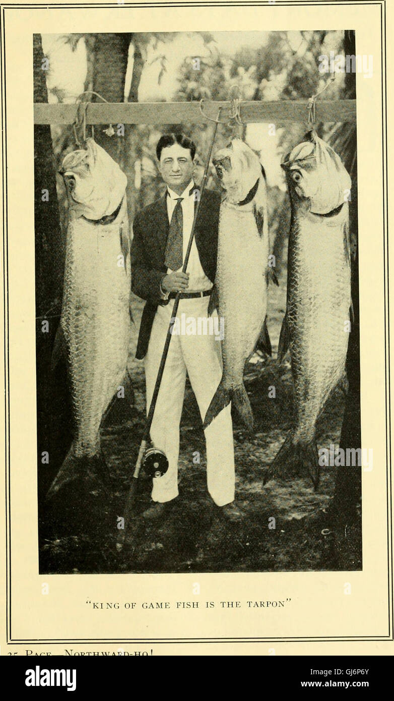 'Northward-ho!' (1908) provides a travel guide to the scenic inland ...